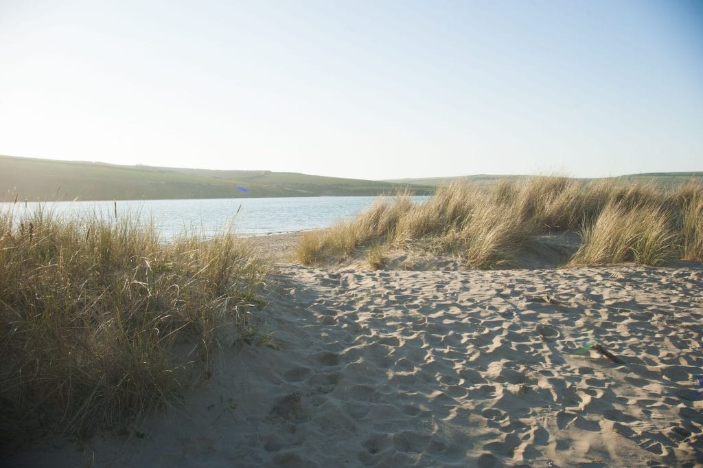 Best Dog Friendly Beaches in Cornwall | Beach Stays